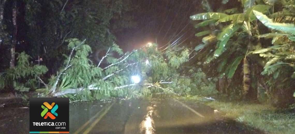 Lluvias Y Fuertes Vientos Provocaron Inundaciones Y Caída De árboles En