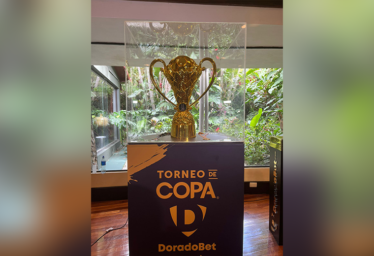 Estos son los precios para la final del Torneo de Copa | Teletica