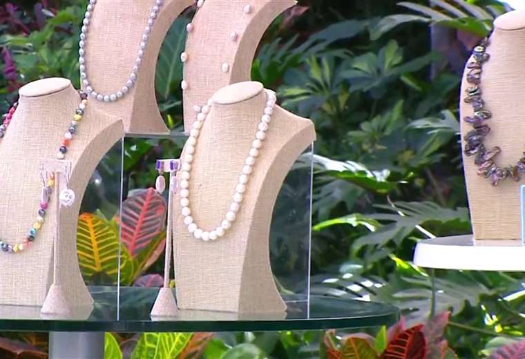 Perlas, ¡siempre sí! | Teletica