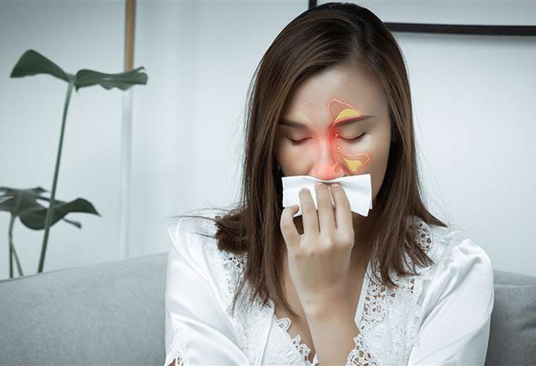 Guía para entender la rinosinusitis, sus causas y tratamientos | Teletica