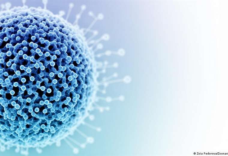 Crean nanocápsulas con control remoto para ampliar efecto de ...