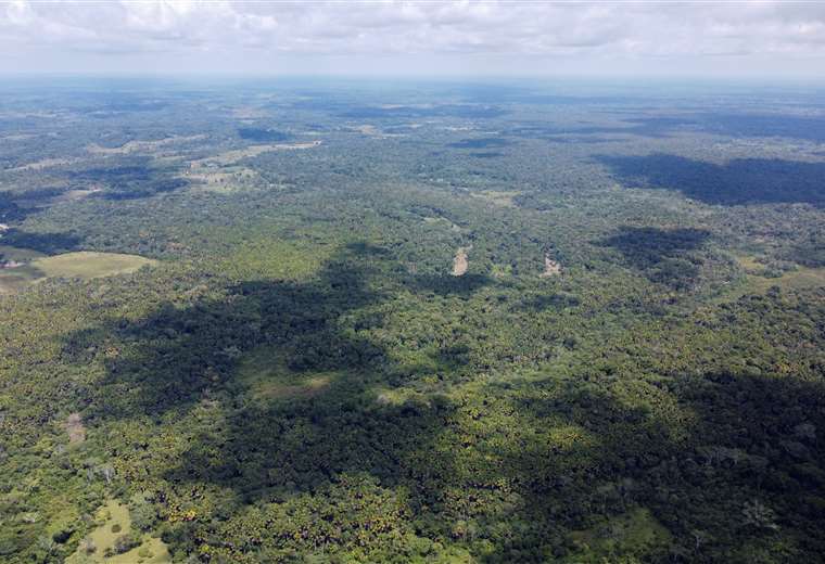 Lo que se sabe y no se sabe de los niños perdidos en la selva de ...