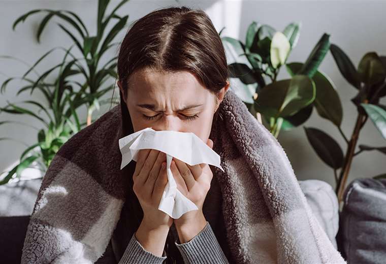 Influenza Y Gripe Común Diferencias Clave En Enfermedades