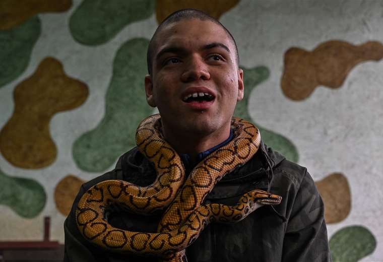 Terapia Con Reptiles Para Relajarse Y Aliviar Trastornos Se Populariza