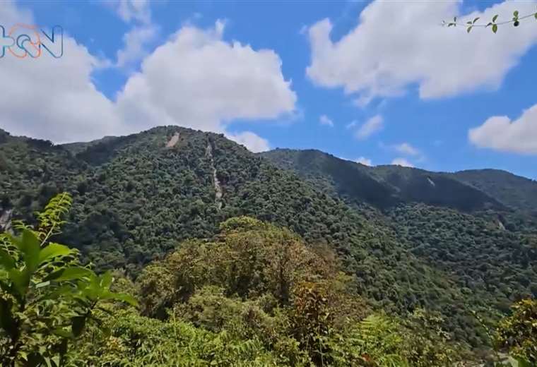 Parque Nacional Tapantí habilita dos senderos para turistas | Teletica