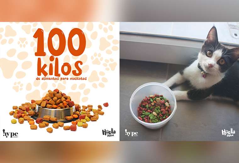 'Huella Digital': Usando las redes sociales en pro de los animales necesitados | Teletica