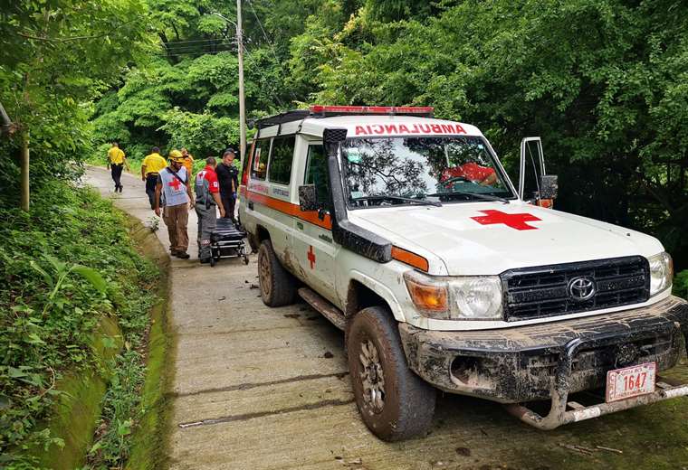 Hombre Muere Tras Caer De árbol En Heredia Teletica 9667