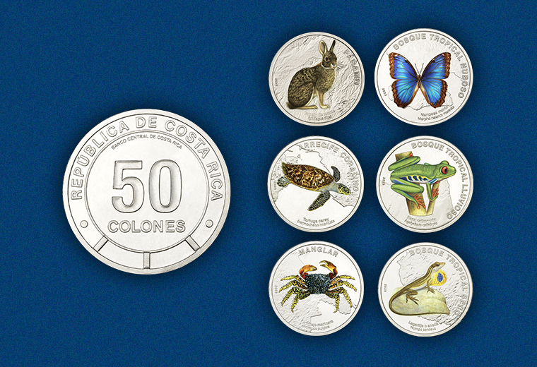 Fauna tica es la protagonista en nuevas monedas de ₡50 | Teletica