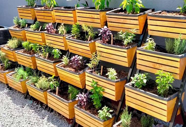 ¿Sin jardín? Transforme su hogar con huertas verticales sencillas y ...