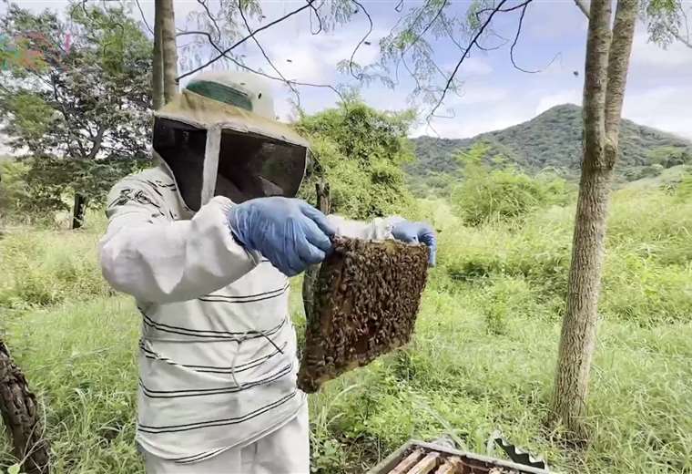 Israel Quesada y la bebida de los dioses: hidromiel desde Colorado de ...