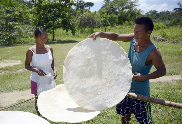 Casabe, un ancestral pan de yuca, declarado patrimonio de la humanidad ...