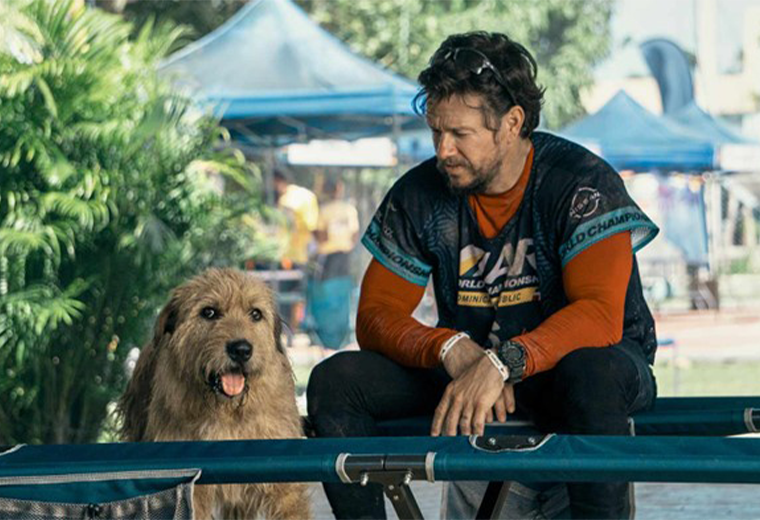 Conozca la historia de ‘Arthur’, una aventura que le llegará al corazón ...