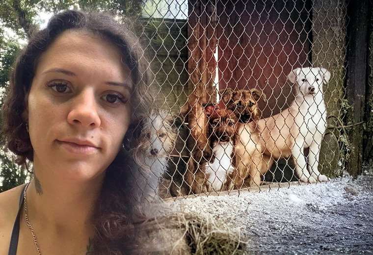 Territorio de Zaguates se hace cargo de todos los animales rescatados ...