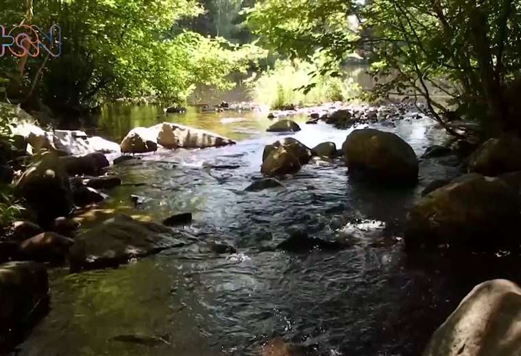 Avanza la recuperación del río Agua Caliente en Cartago | Teletica