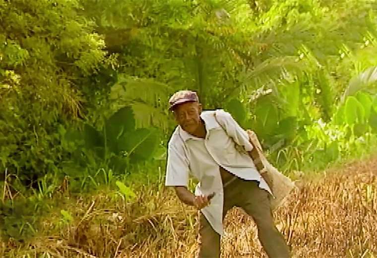 Exposición rememora vida y trayectoria musical de Walter Ferguson ...