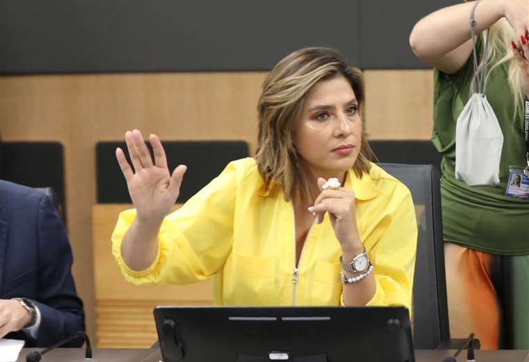 Daniela Rojas anuncia resello para proyecto que establece castigos por ...