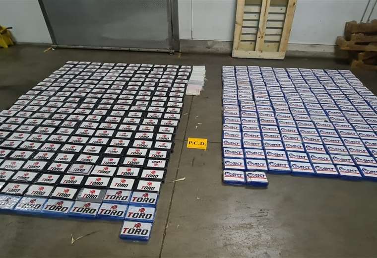 Descubren 400 kilos de cocaína ocultos en contenedor de fruta que iba a ...