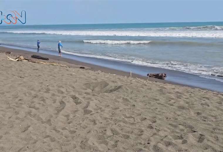 Isla Palo Seco: un paraíso para pescar, relajarse y disfrutar con la ...