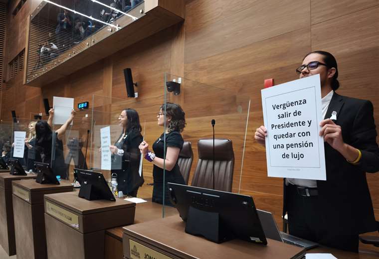 Infocomercial y ciencia ficción: esto dicen los diputados del informe ...