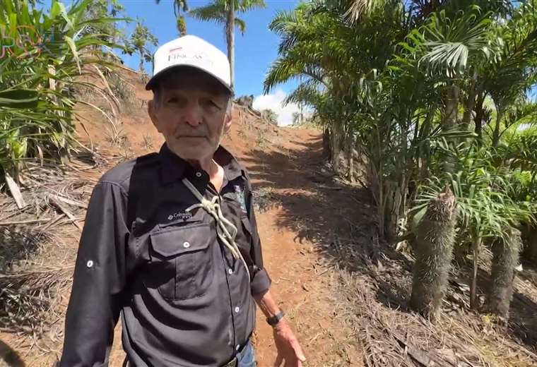 Don Chepe tiene 77 años y no ha dejado de sembrar ni de soñar | Teletica