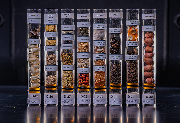 Vea aquí el lanzamiento del cohete que lleva semillas ticas al espacio ...