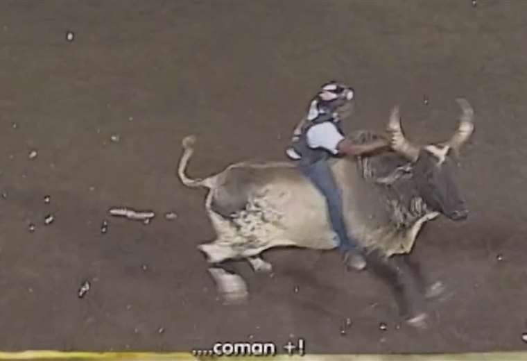 Hace 15 años, un duelo entre dos toros se convirtió en una histórica ...