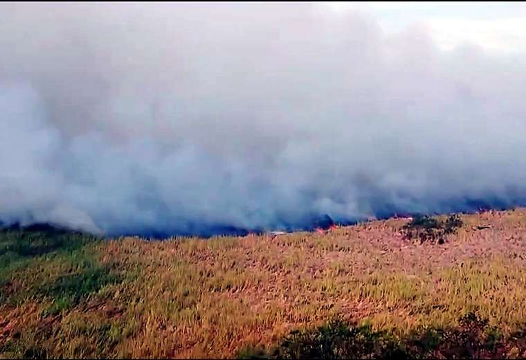 Video: Rayo provoca enorme incendio forestal en Parque Nacional Palo ...
