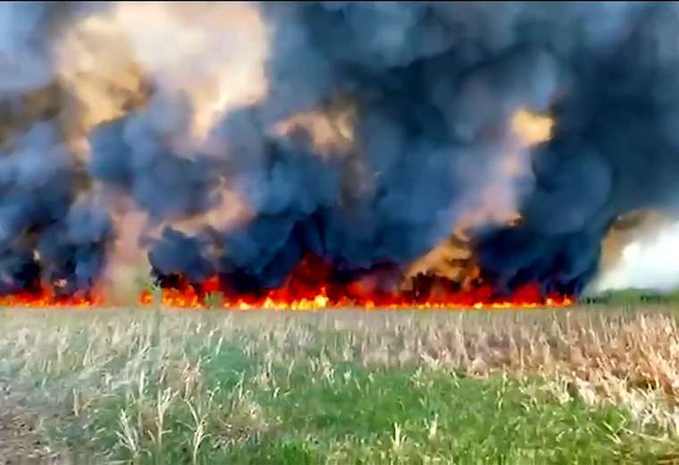 Video: Incendio sigue fuera de control en Palo Verde | Teletica